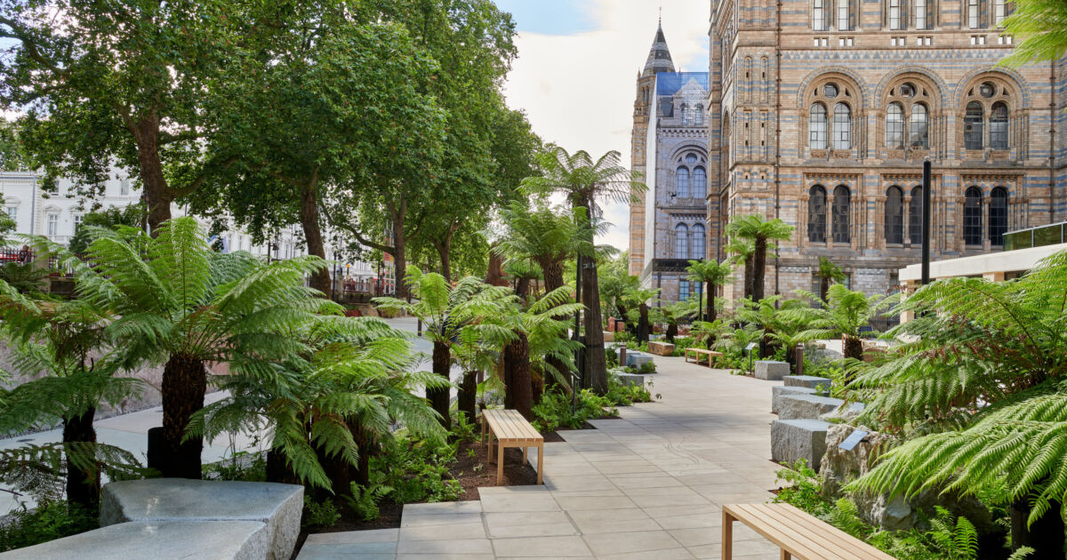 Beyond Net Zero: Biodiversity positive design - Max Fordham